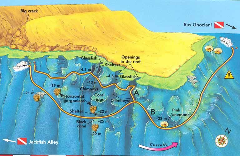 Dive Sites of Sharm El Sheikh | Red Sea | Map & Descriptions