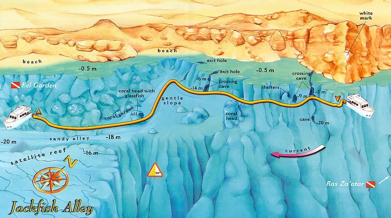 Dive Sites of Sharm El Sheikh | Red Sea | Map & Descriptions