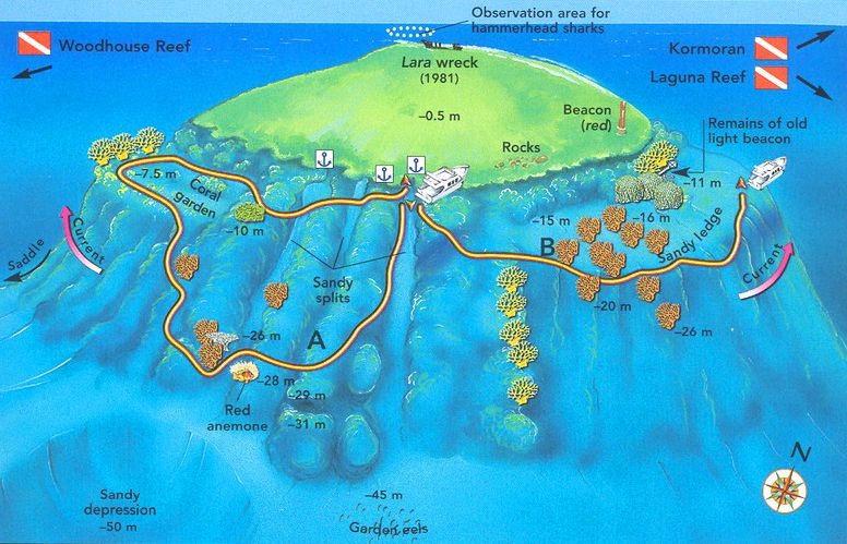 Dive Sites of Sharm El Sheikh | Red Sea | Map & Descriptions
