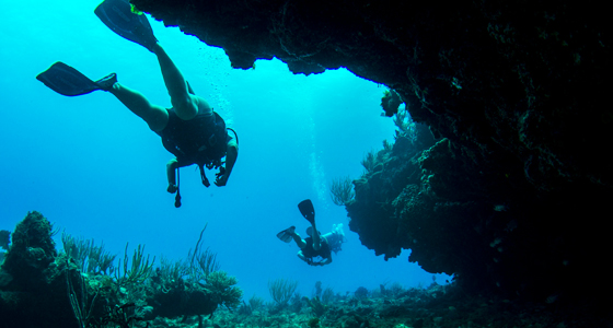 Dive Sites of Dominican Republic | Bayahibe | Map & Descriptions