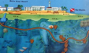 Dive Sites of Sharm El Sheikh | Red Sea | Map & Descriptions