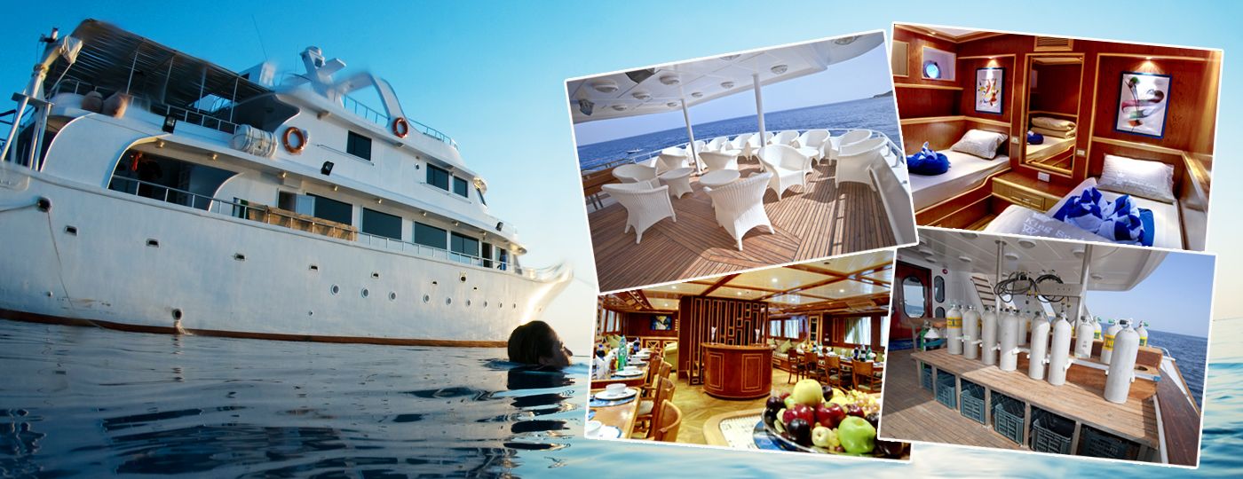 Red Sea liveaboard Diving Safari | Sharm el Sheikh | Hurghada