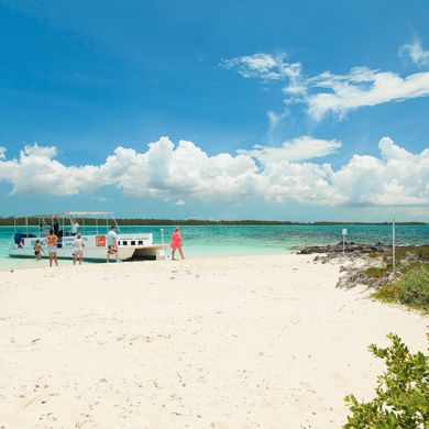 Dive Center in Grand Bahama | PADI | Reef Oasis Viva Bahamas