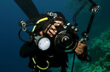 Diving in Sharm el Sheikh | Red Sea | Reef Oasis Dive Club