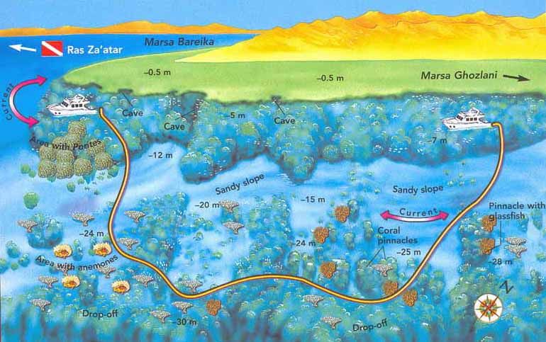 Liveaboard Mini Safari Ras Mohamed & Thistlegorm